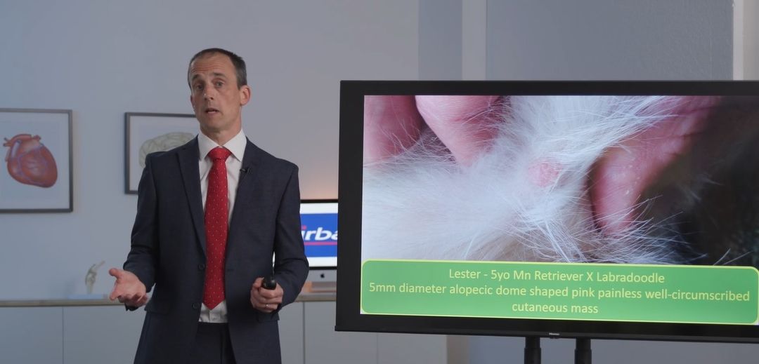 ELEARNING.VET - Continuous Learning For Veterinary Professionals